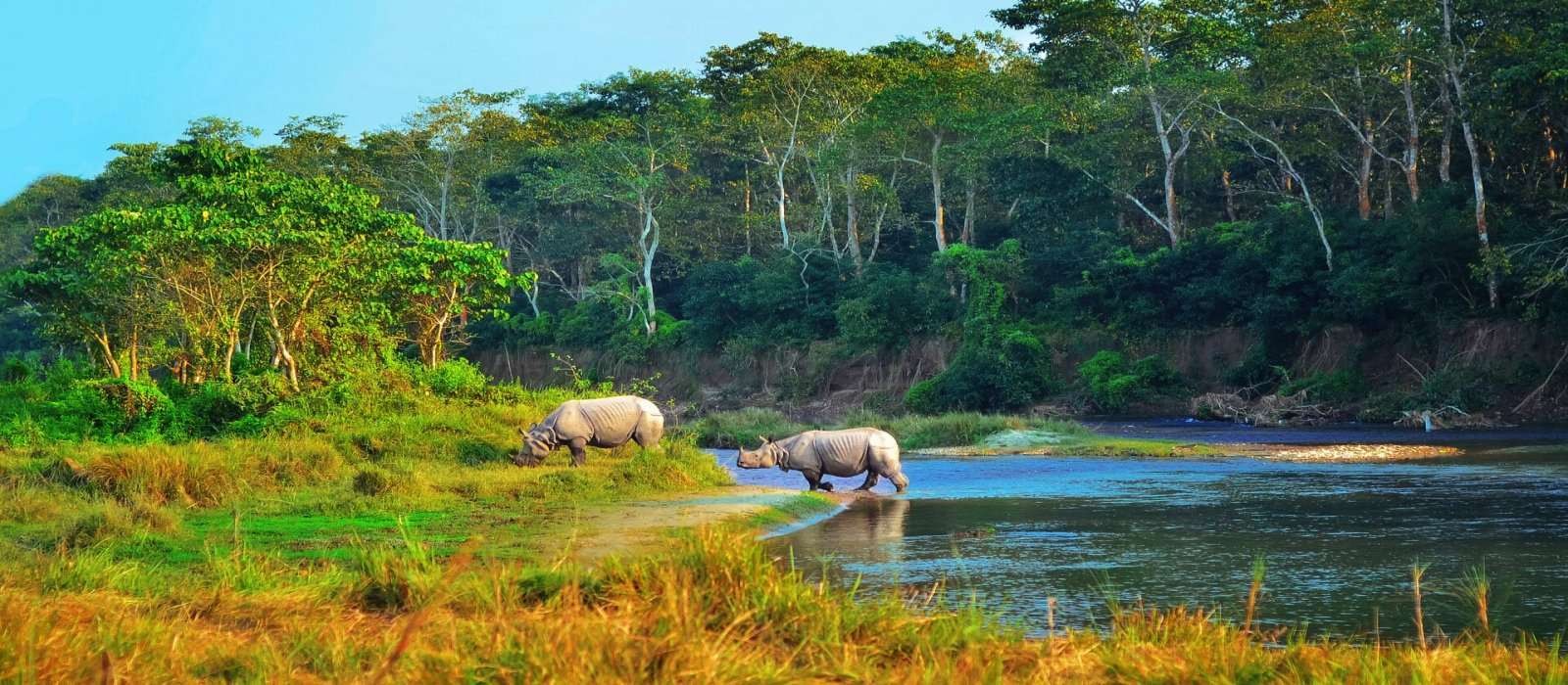 Kathmandu Chitwan Pokhara Tour - 7 day Nepal tour package